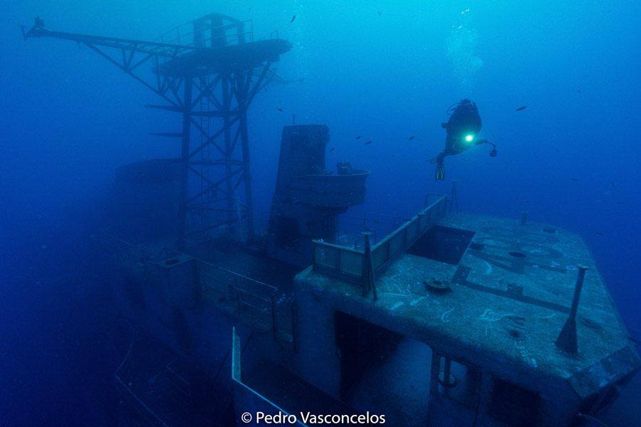 Madeira | Portugal dive location | Dive Worldwide