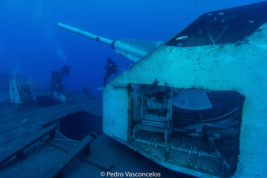 Dive Madeira | Dive Worldwide