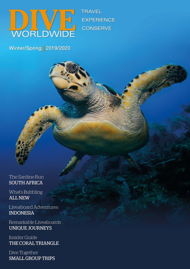 Dive Worldwide brochure