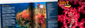 Diving holidays in over 40 worldwide destinations to discover | Dive ...